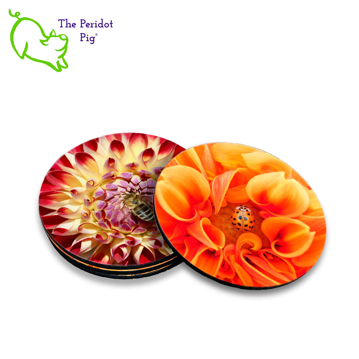 Dahlia with Insects Round Coasters with Cork Backing - Set of 4 – The ...